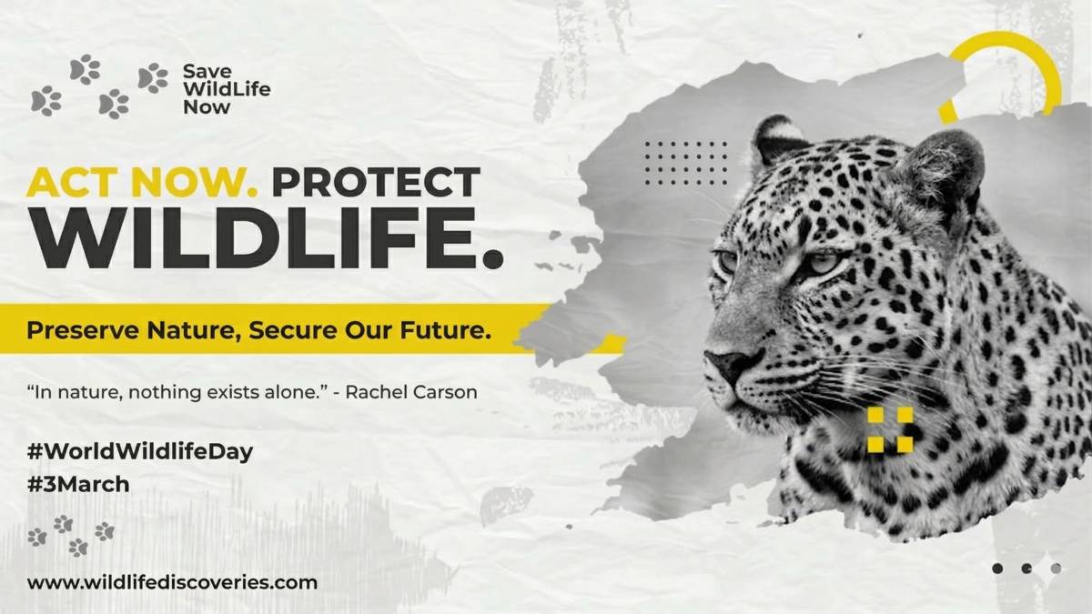 World Wildlife Day 2026: Why We Must Act Now to Save Nature
